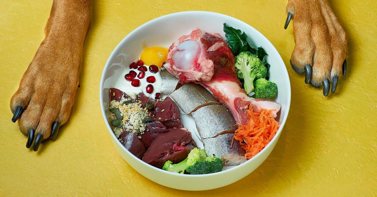 BARFen für Anfänger: Die richtige Rohfütterung für Ihren Hund ...